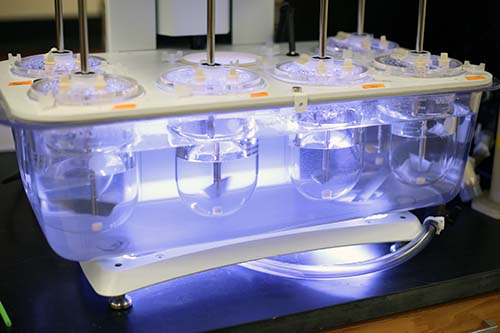 Dissolution-bath-300x - New Materials Institute